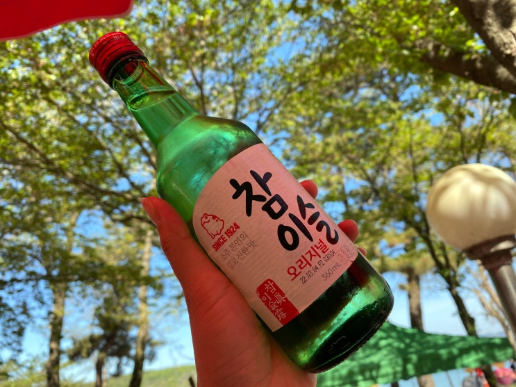 인천 무의동 대무의도실미도 유원지 해송회식당 산낙지회해물파전 네이버 블로그