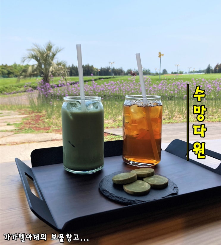 제주도 녹차밭 푸른 차밭의 뷰가 있는 카페 수망다원 에서 네이버 블로그
