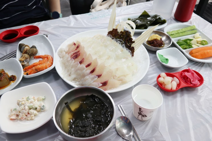동해 묵호항 횟집 5만원에 즐기는 청해수산 네이버 블로그