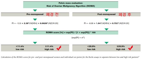 정기 검사 결과 및 Roma Score 산출방법 : 네이버 블로그