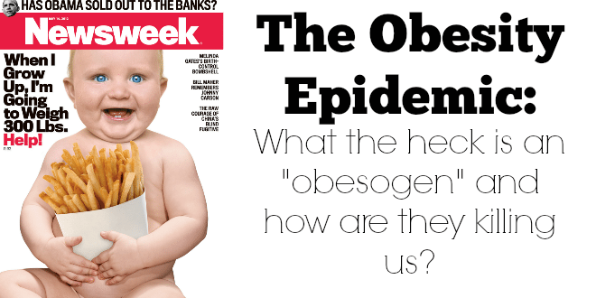 환경 독소가 비만 팬데믹 주범 www.theguardian.com : 네이버 블로그