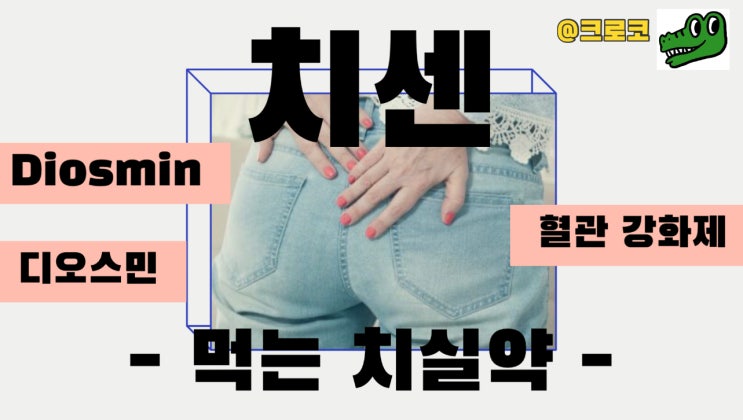 먹는 치질약 치센 디오스민 효과 가격과 주의사항 보면 네이버 블로그