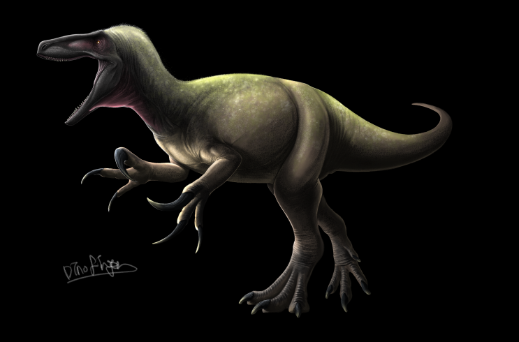 maip macrothorax : 네이버 블로그