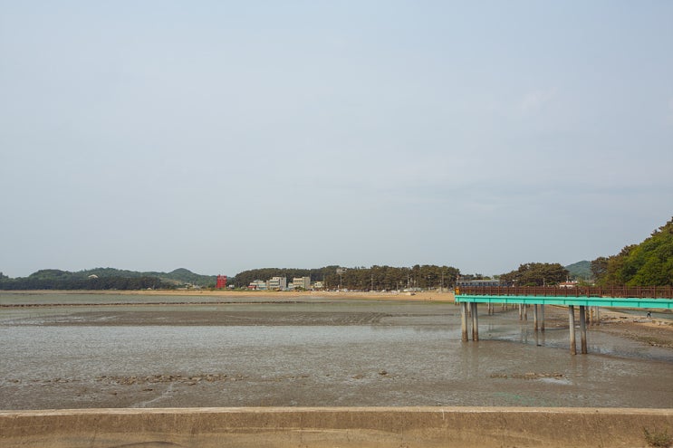 서울 근교 바다 당일치기 화성 궁평항 수산시장 궁평리 해수욕장 여행 네이버 블로그