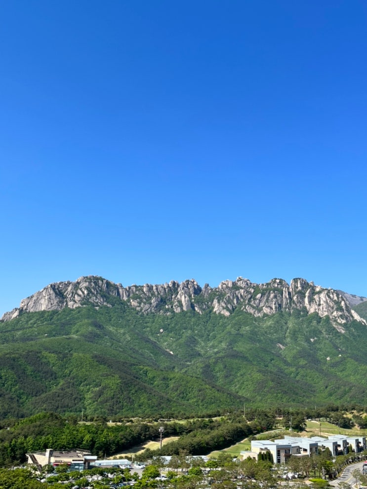 고성 소노문 델피노 스위트 패밀리 후기 울산바위뷰 패키지 가격 소노캄 소노펠리체 비교 부대시설 안내 네이버 블로그