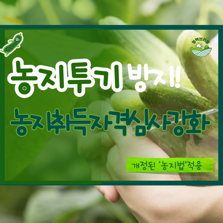 농지투기 방지 농지취득 자격 심사·관리 강화 네이버 블로그