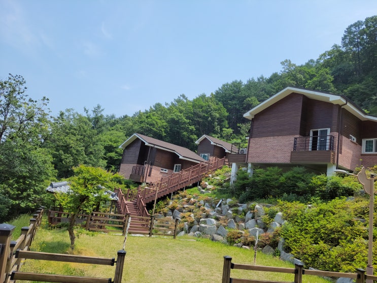성주 독용산 자연휴양림에서 힐링을 : 네이버 블로그