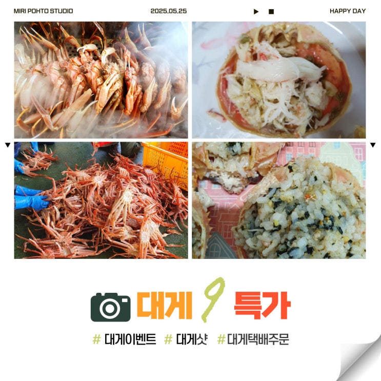 목원대게 국내산 대게 이벤트 특가 9마리 : 네이버 블로그
