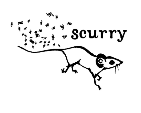 [영어회화 표현] scurry? don? : 네이버 블로그