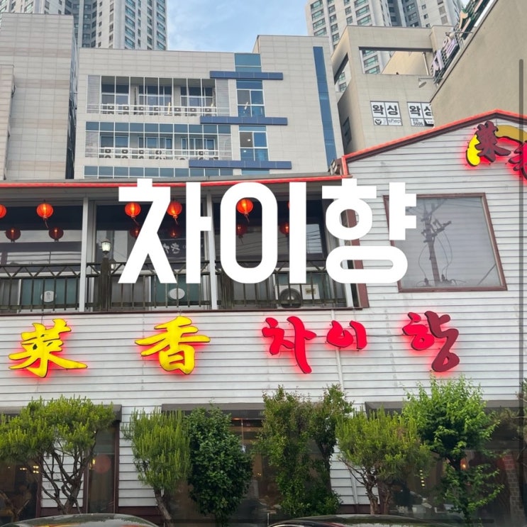 청주 지웰시티 맛집 차이향 중국요리전문점 요리7개주문 내돈내산 후기 자니픽 네이버 블로그