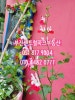 부산시민공원 촉진3구역 촉진4구역 전포3구역 부산재개발 매물 E편한세상시민공원 분양권 입주권 매물 상담 네이버 블로그