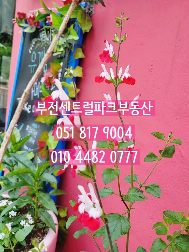 부산시민공원 촉진3구역 촉진4구역 전포3구역 부산재개발 매물 E편한세상시민공원 분양권 입주권 매물 상담 네이버 블로그