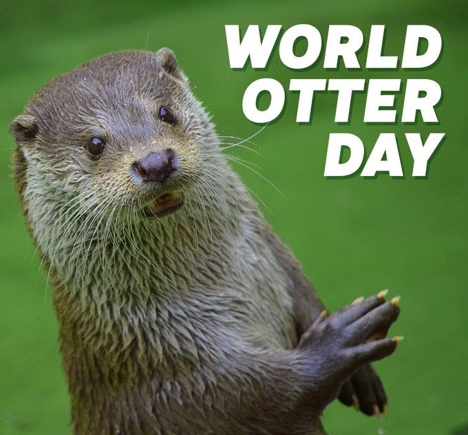 세계 수달의 날(World Otter Day) : 네이버 블로그