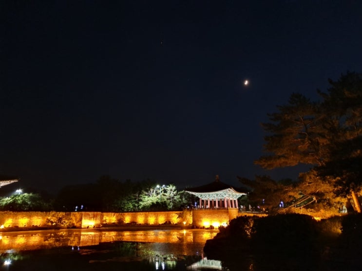 경주여행추천장소 동궁과월지 2박3일 경주대릉원 포토존 경주가볼만한곳 황리단길 네이버 블로그