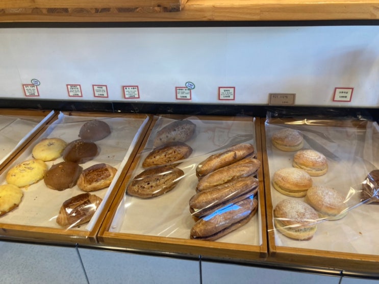 419카페거리 까미노🥖 천연발효종 베이커리 무슬린크림빵 쌀단팥빵 코요타 네이버 블로그