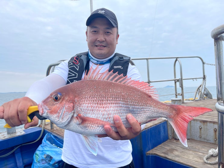 서천 홍원항 아쿠아마린호 타고, 타이라바 참돔낚시 : 네이버 블로그