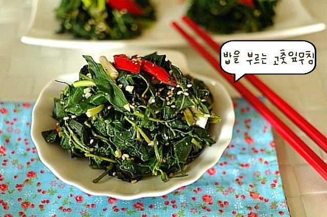 고춧잎무침 저칼로리 야채반찬 칼로리낮은음식 국간장 양념 고추잎무침 5월밑반찬 고춧잎나물무침 비빔밥재료 밑반찬종류 고춧잎요리