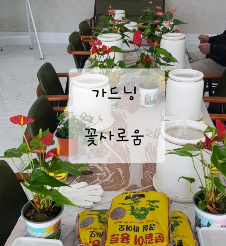 교직원 원예동아리 가드닝 공기정화식물 꽃화분심기 원데이클래스 광주 전주 전남 원예치료 진로체험 꽃사로움 원예강사 외부출강 광주