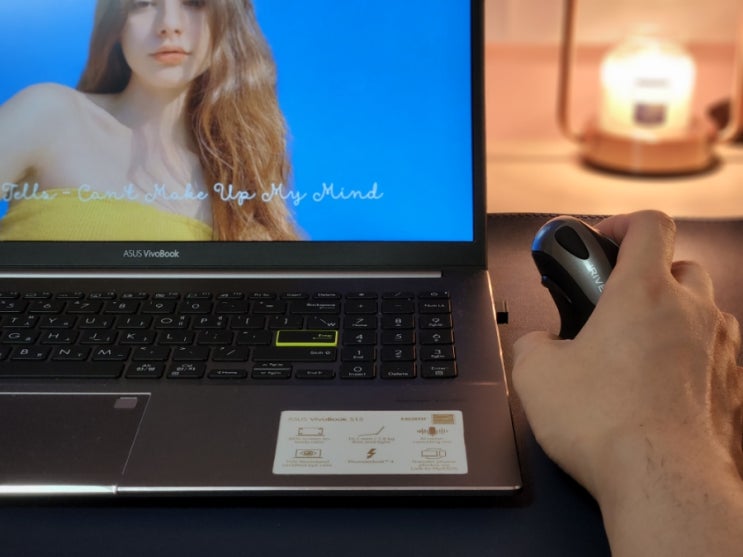 버티컬 마우스, 아이리버 EQWEAR-EV3 무선마우스 장단점 : 네이버 블로그