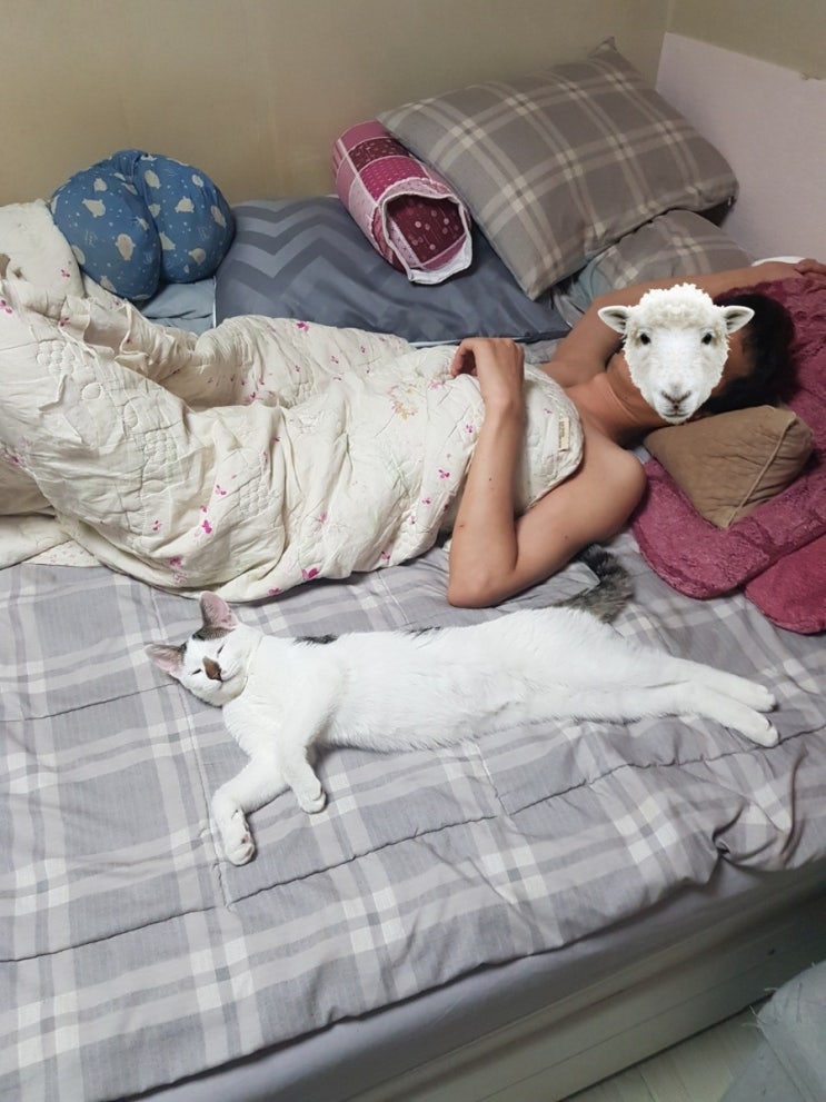 5월27일 선거완료 오랜만에 데이트 파스타 스테이크 오락실 롯데시네마 안마의자 닥터스트레인지 대혼돈의멀티버스 쿠키2개임 ...