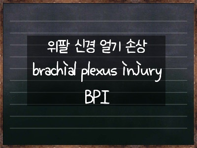 위팔 신경 얼기 손상 brachial plexus injury, BPI : 네이버 블로그