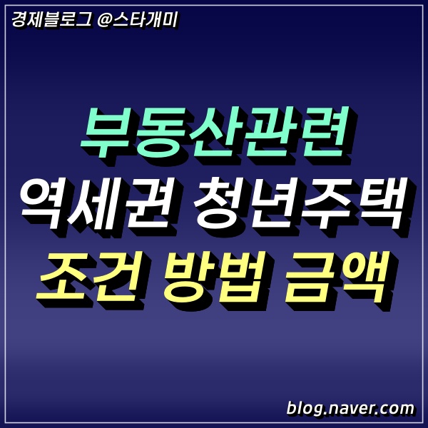 역세권 청년주택 제도 완벽정리 신청 조건 방법 주거비지원 금액 네이버 블로그