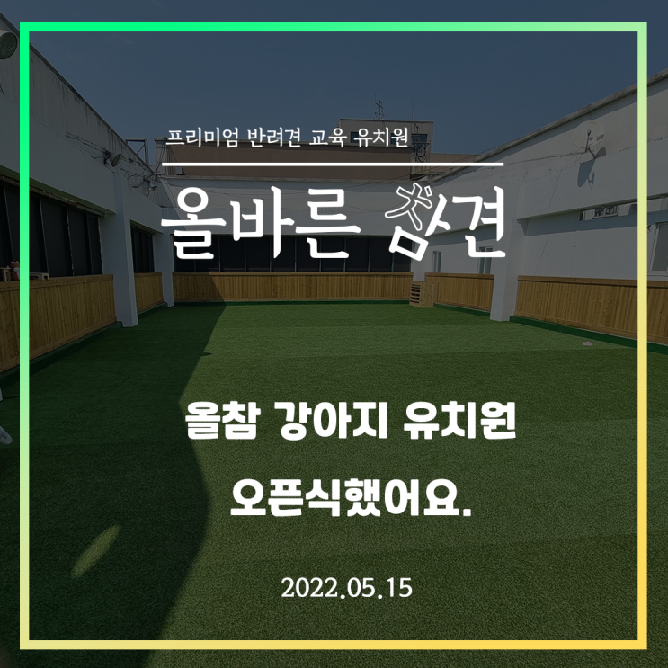안산 애견유치원 올바른 참견 반려견 교육센터 Open🎉 네이버 블로그