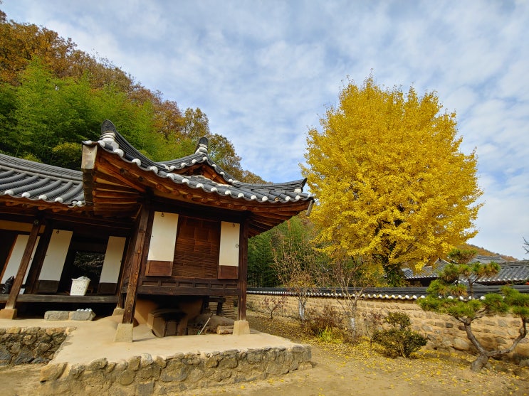 청송 여행 청송 송소고택과 카페 백일홍 한적한 곳에서 힐링하기 네이버 블로그