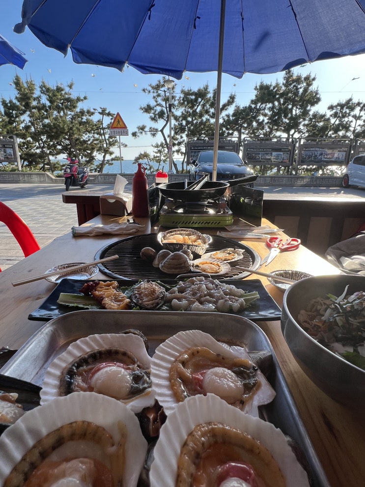 보령 대천 맛집 왕건회조개타운 후기 네이버 블로그