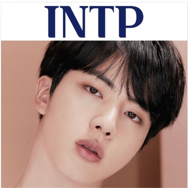 Mbti Intp 특징 성격 장점 단점 빙고 팩폭 연예인 궁합 간단정리 네이버 블로그