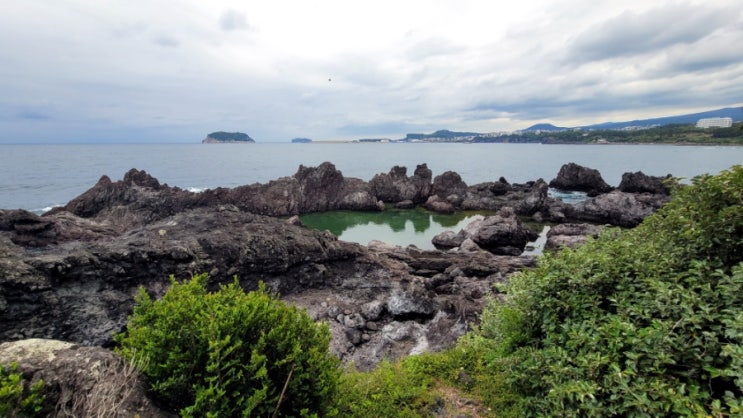 제주 올레 6코스 (5. 28.~29.) : 네이버 블로그