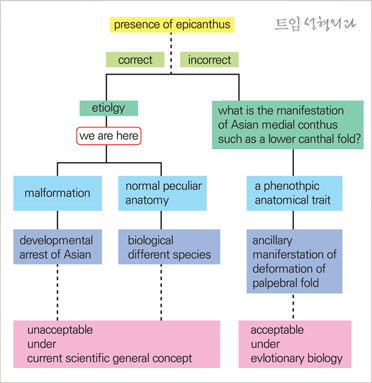 2-2. The paradigmatic approach : idea of Epicanthus in the context of ...
