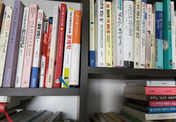 초보 글쓰기 나만의 방법으로 공저에 참여하다 네이버 블로그