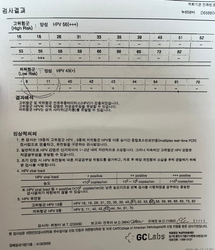2 눈물바다의 서막 자궁경부암 검사 As Cus 진단 자궁경부이형성증 극복기 Cin1lsil 3개월 만에