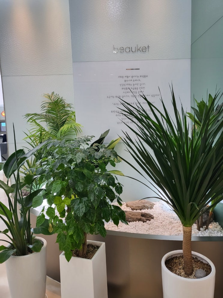 뷰켓피부연구소에서 AI 인공지능 Meitu Eve로 피부측정 : 네이버 블로그