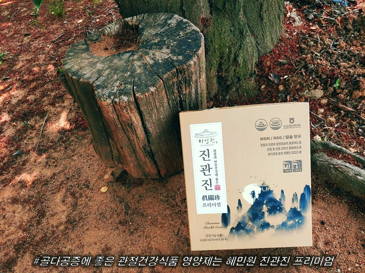 골다공증에 좋은 관절건강식품 영양제는 혜민원 진관진 프리미엄 네이버 블로그