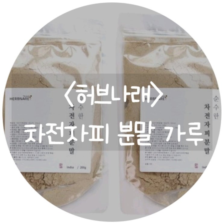 차전자피 고운 분말 가루 6개월 복용 후기 차전자피 종류 효능 부작용 네이버 블로그