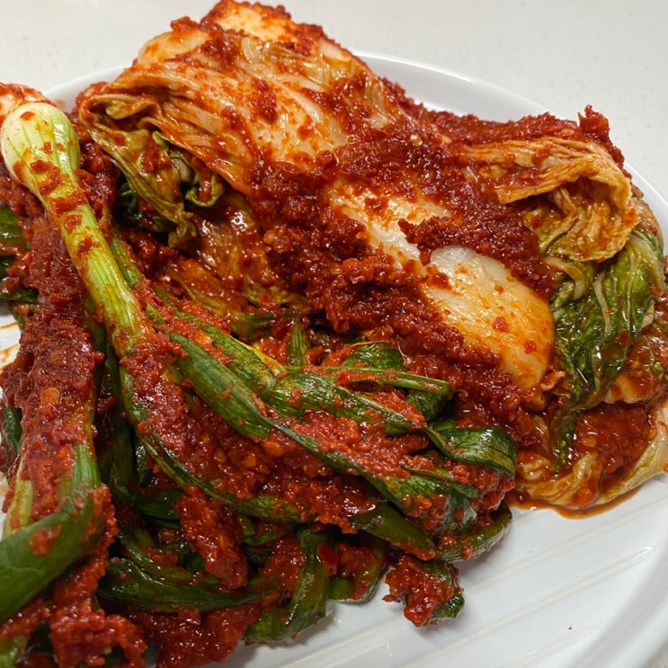 대전 선화동 실비김치 선화동 매운 실비김치 실비파김치 솔직후기 네이버 블로그