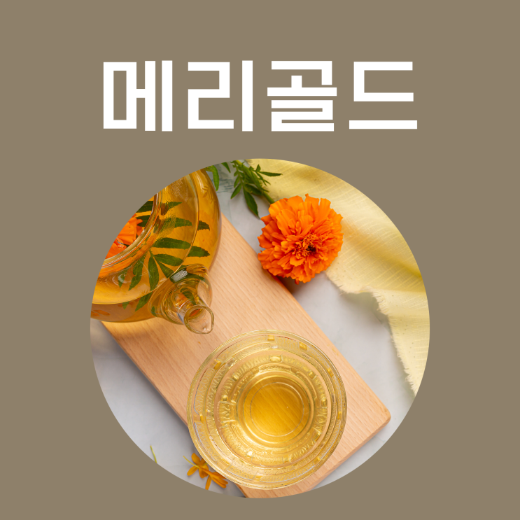 메리골드 꽃말 메리골드꽃차 효능 눈건강 루테인 지아잔틴 갱년기 눈에 좋은 차 음식 10월 탄생화 네이버 블로그