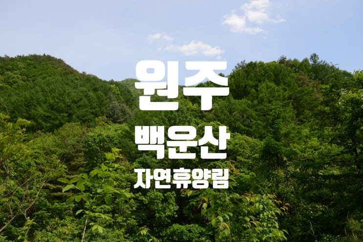 어디를 보아도 녹색 원주 백운산자연휴양림 네이버 블로그