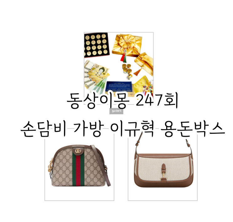 동상이몽 손담비 가방 크로스백 루에브르 이규혁 용돈박스 공진단 손담비엄마 구찌 숄더백 247회 네이버 블로그
