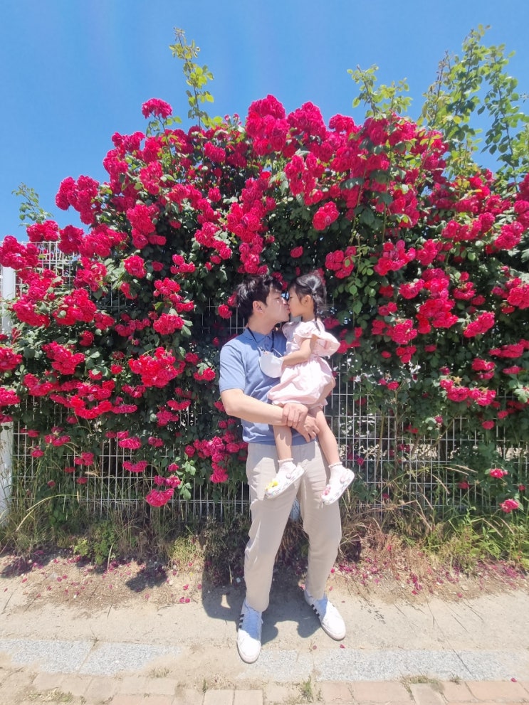 수원 가볼 만한 곳 행궁동에서 장미구경행궁동벽화골목 주차팁 네이버 블로그
