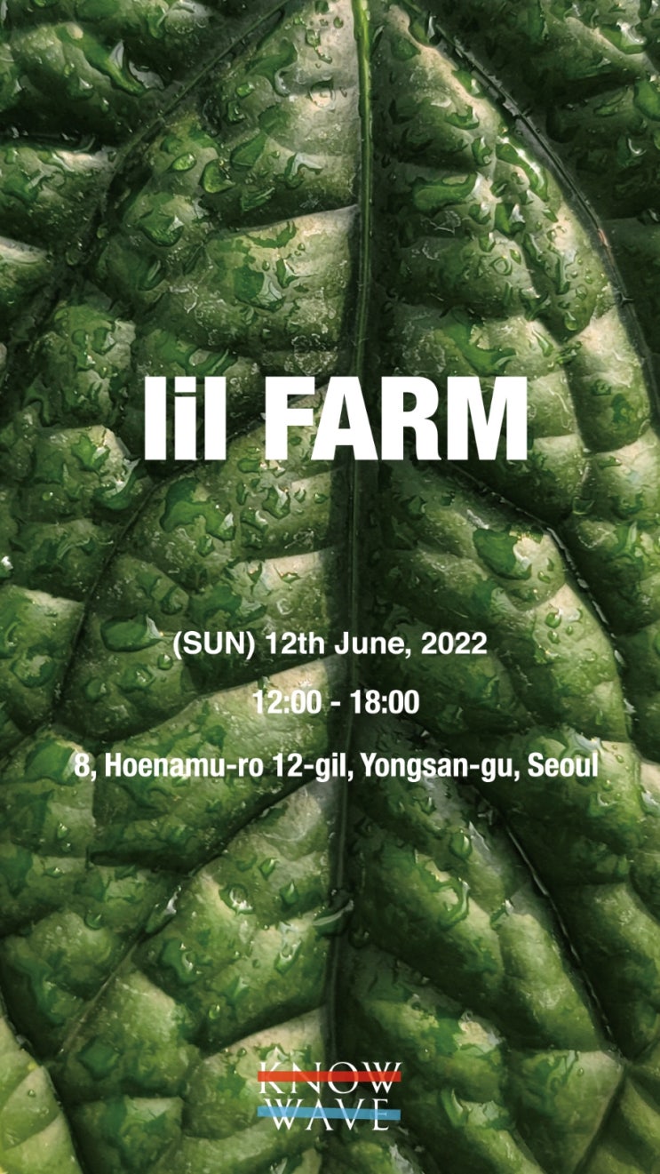 lil farm 식물 팝업행사를 소개합니다 : 네이버 블로그