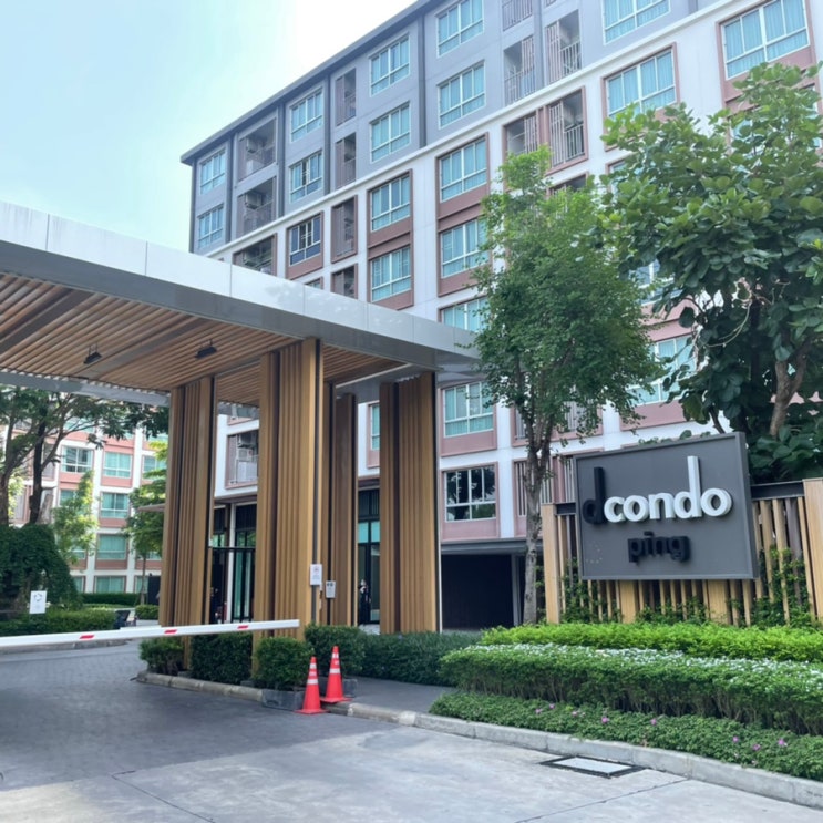 태국 치앙마이 디콘도 핑 장단점과 3개월 월세, 전기세, 물세 후기 : D CONDO PING : 네이버 블로그