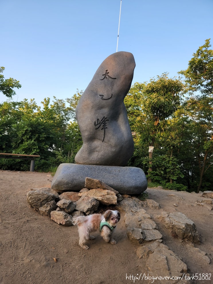 군포안양 수리산 태을봉 등산코스 최단코스 수리산 성지 코스 네이버 블로그