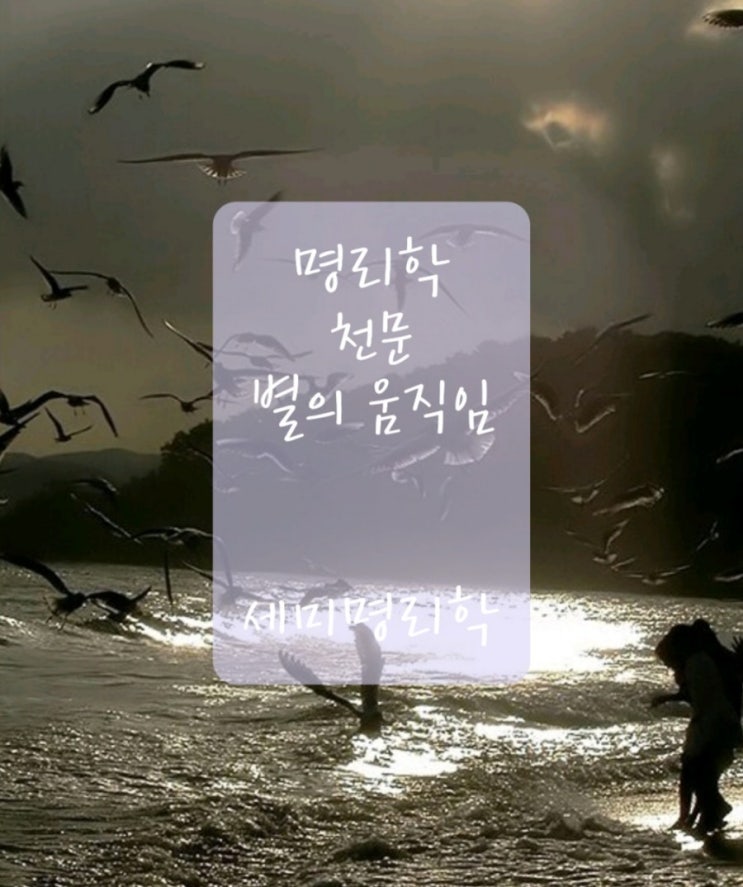 내 팔자, 내 사주팔자 : 네이버 블로그