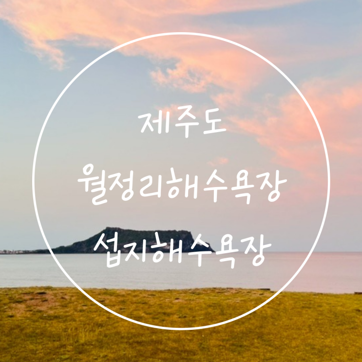제주도 월정리해수욕장 섭지코지 신양섭지해수욕장 여행하기 네이버 블로그