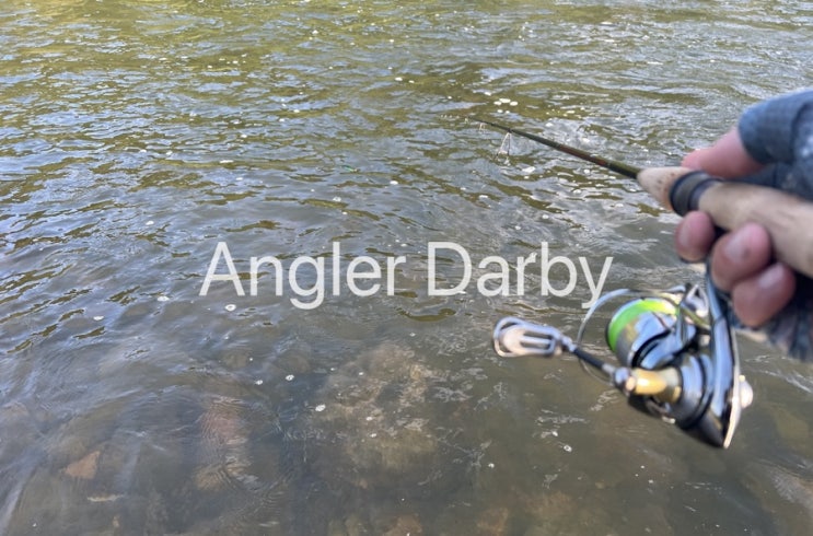 22.섬진강 쏘가리 : 네이버 블로그