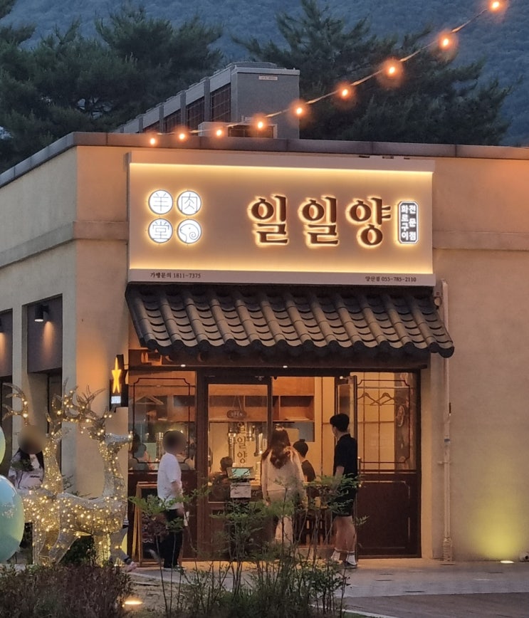 양산 양고기 맛집 일일양 양갈비 맛에 반하다 네이버 블로그