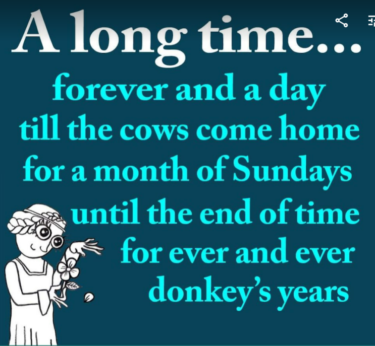 [영어] a long time 대용어 : 네이버 블로그